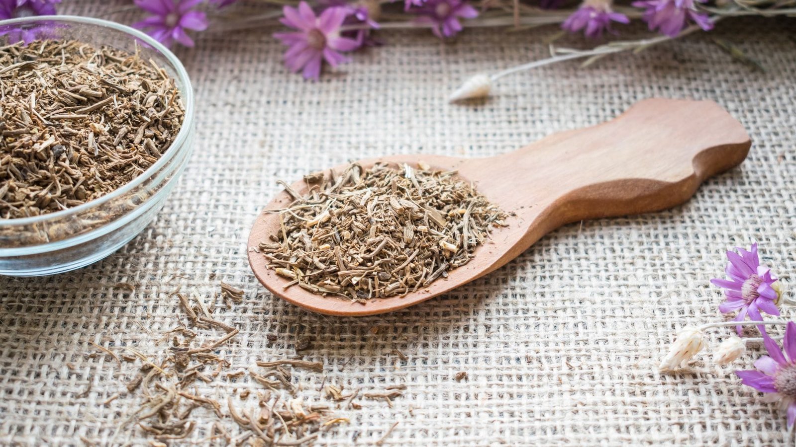 Valeriana: Como Usar para Combater a Insônia